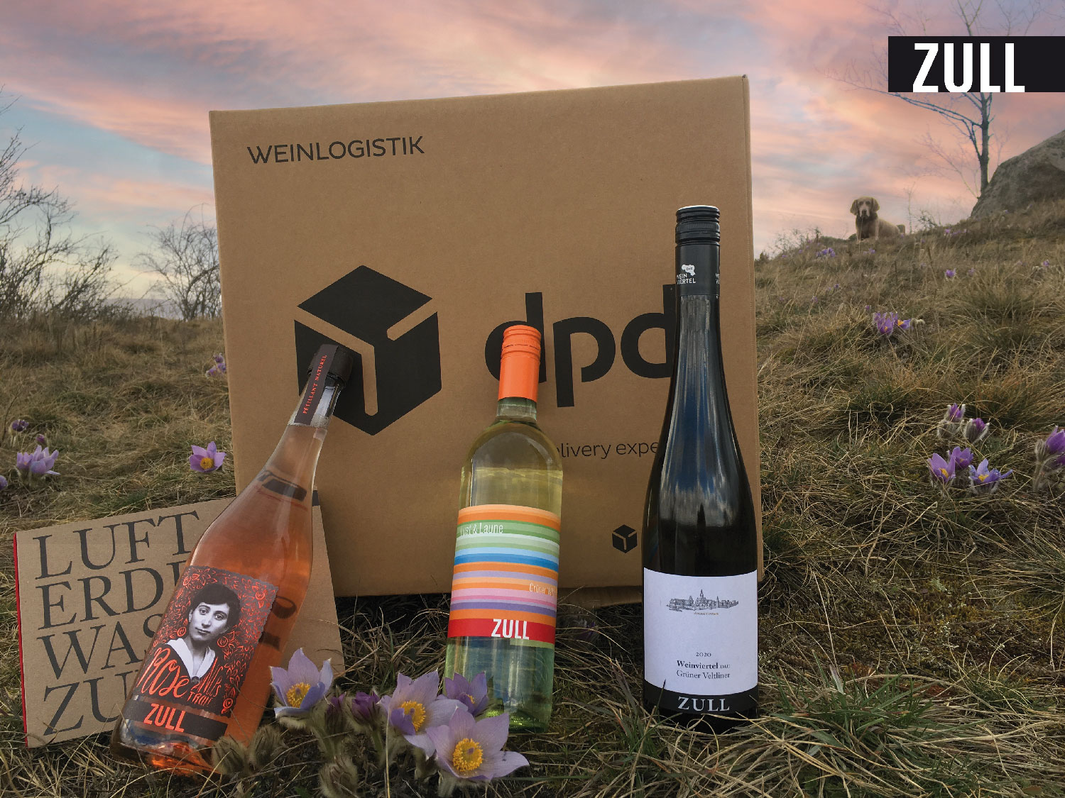 Aktuelles - www.zull.at